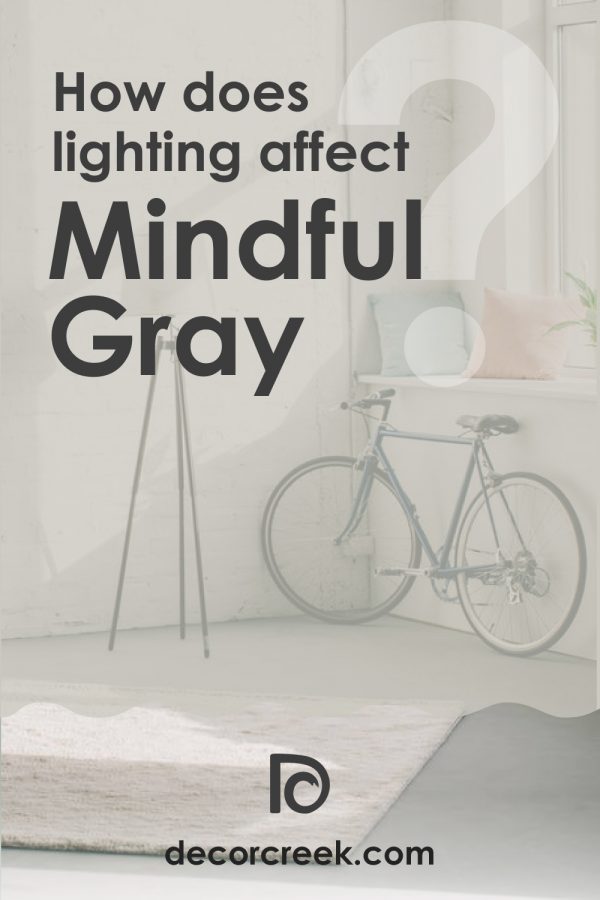 Mindful Gray SW 7016 Paint Color by Sherwin Williams