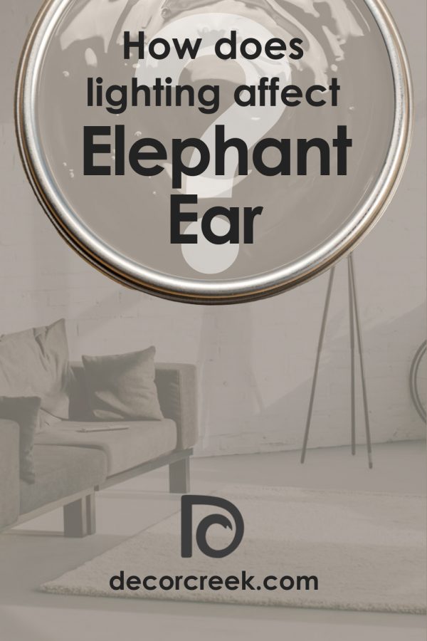 Elephant Ear SW 9168 Paint Color by Sherwin-Williams