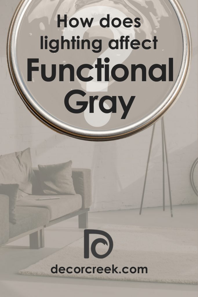 Functional Gray SW 7024 Paint Color by Sherwin-Williams