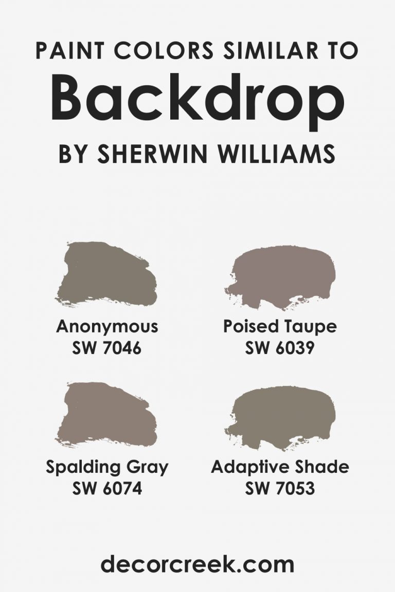 Backdrop SW 7025 Paint Color by Sherwin-Williams - DecorCreek