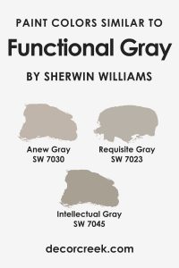 Functional Gray SW 7024 Paint Color by Sherwin-Williams