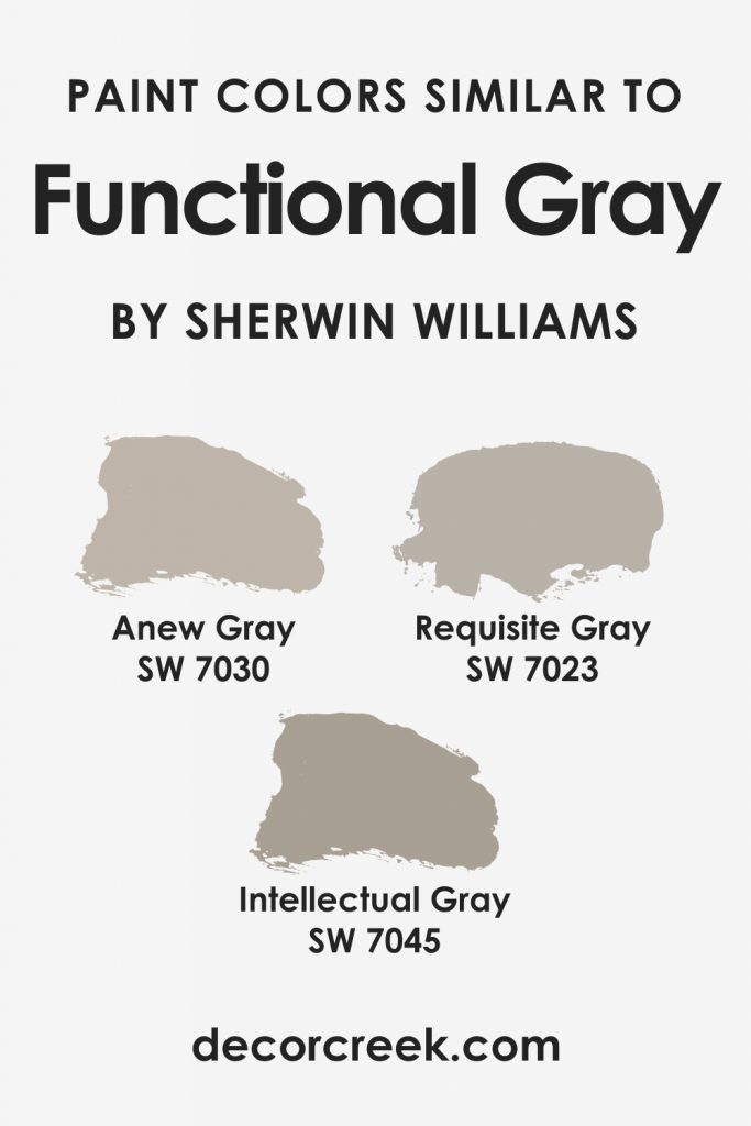 Functional Gray SW 7024 Paint Color by Sherwin-Williams