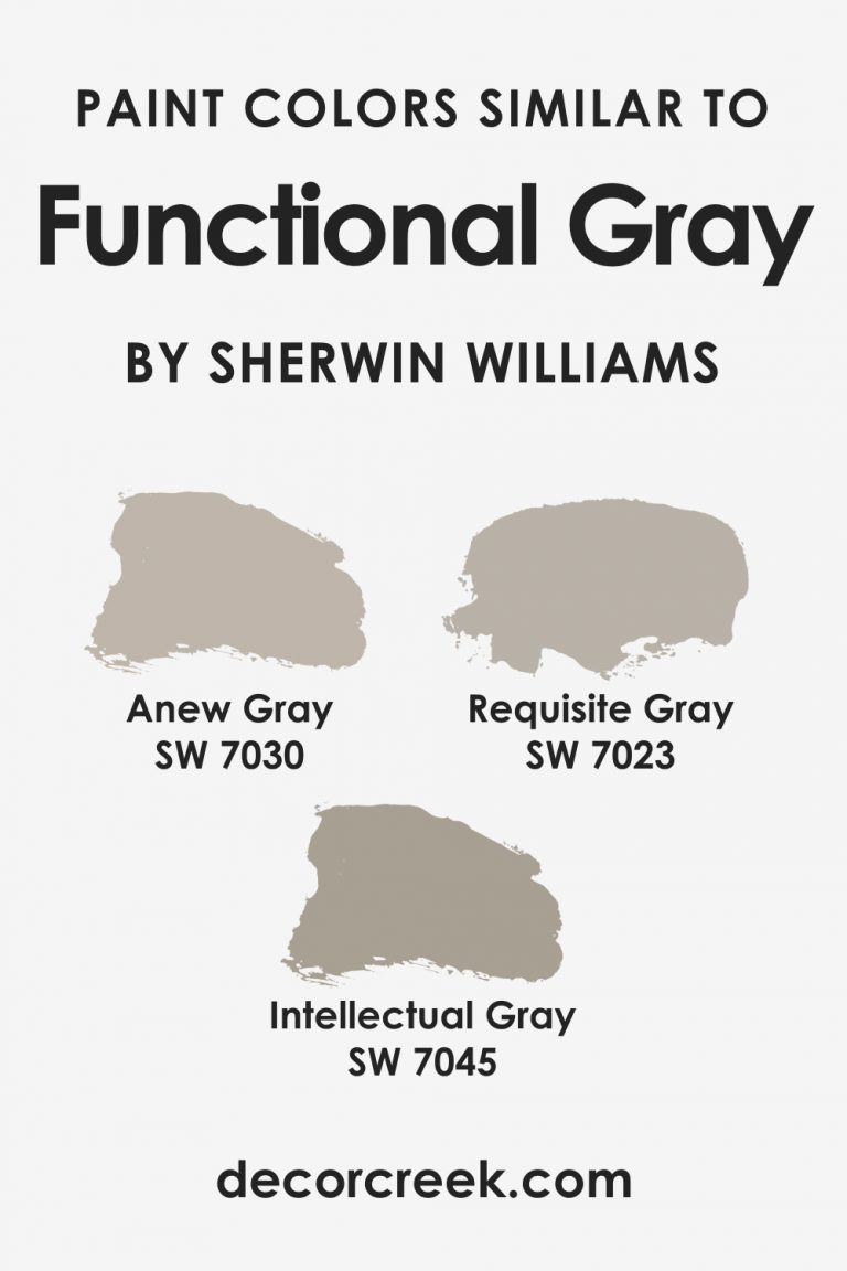 Functional Gray SW 7024 Paint Color by Sherwin-Williams