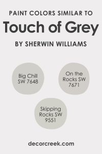 Touch of Grey SW 9549 Paint Color by Sherwin-Williams
