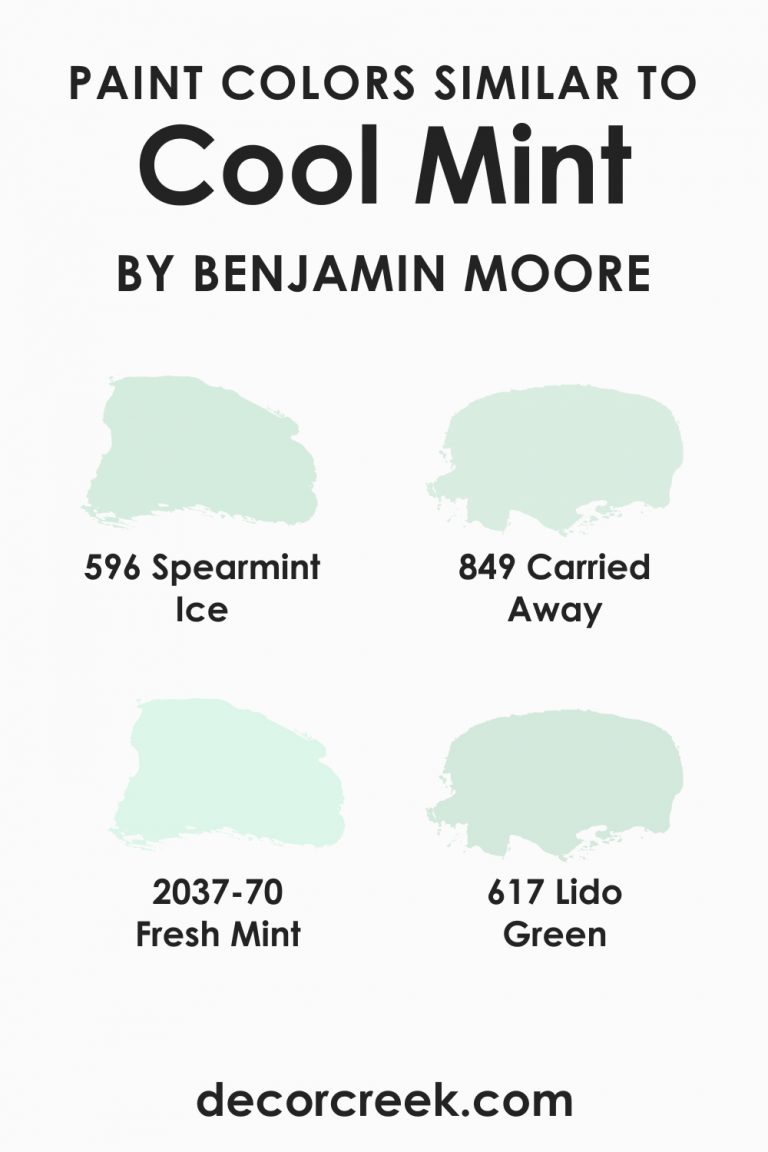 Cool Mint 582 Paint Color by Benjamin Moore - DecorCreek