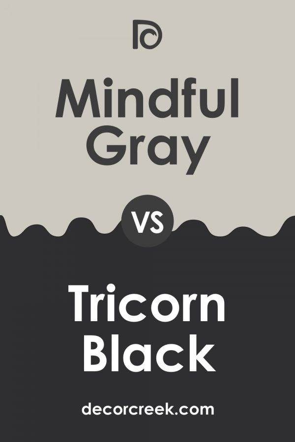 Mindful Gray SW 7016 Paint Color by Sherwin Williams