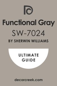 Functional Gray SW 7024 Paint Color by Sherwin-Williams
