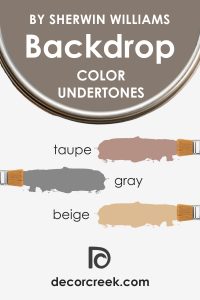 Backdrop SW 7025 Paint Color by Sherwin-Williams - DecorCreek