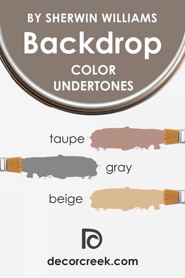 Backdrop SW 7025 Paint Color by Sherwin-Williams - DecorCreek