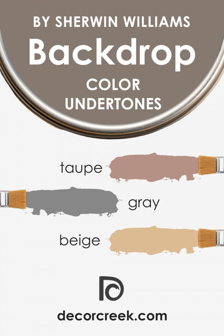 Backdrop SW 7025 Paint Color by Sherwin-Williams - DecorCreek