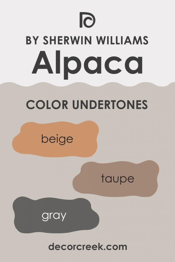 Alpaca SW 7022 Paint Color by Sherwin-Williams - DecorCreek