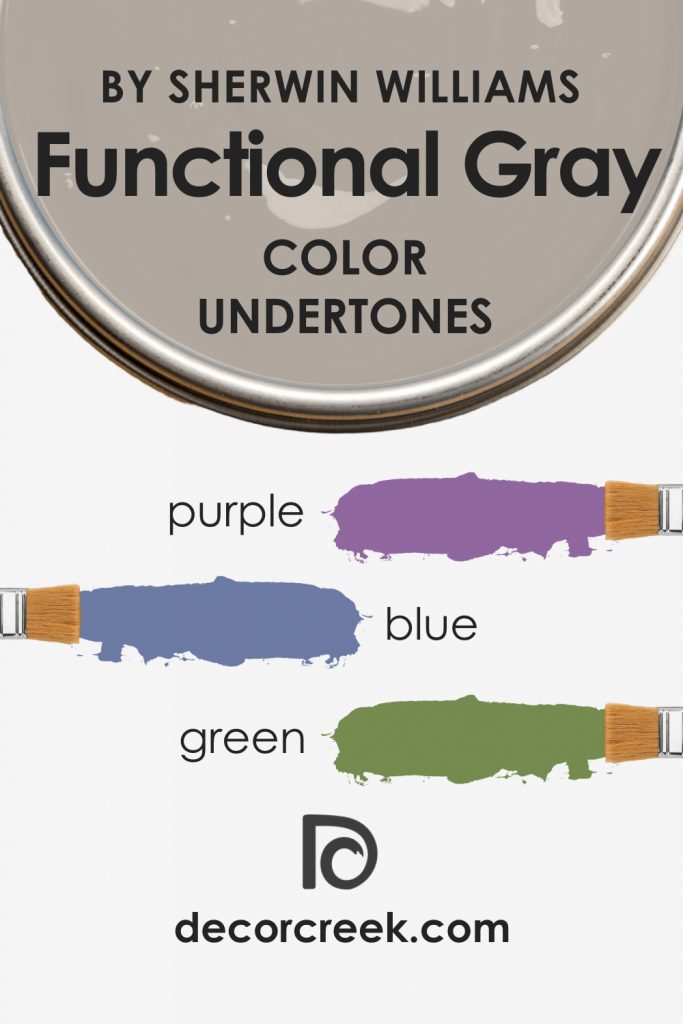 Functional Gray SW 7024 Paint Color by Sherwin-Williams