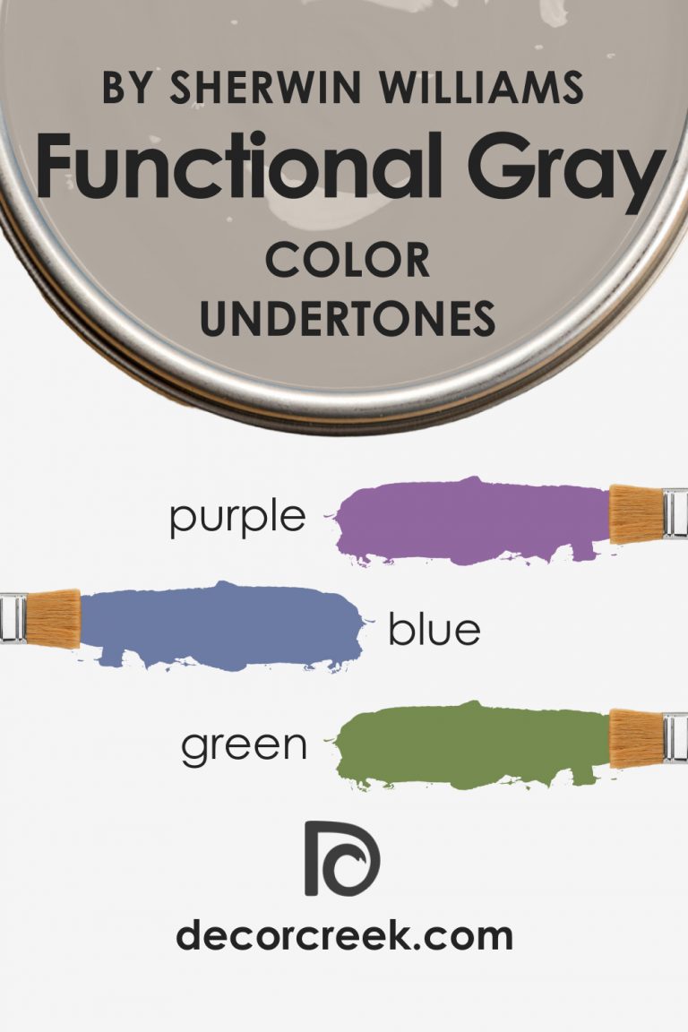 Functional Gray SW 7024 Paint Color by Sherwin-Williams