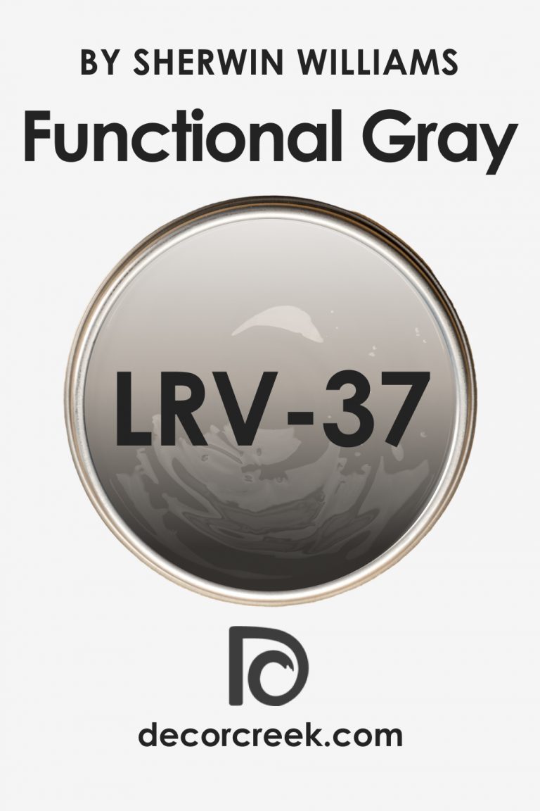 Functional Gray SW 7024 Paint Color by Sherwin-Williams