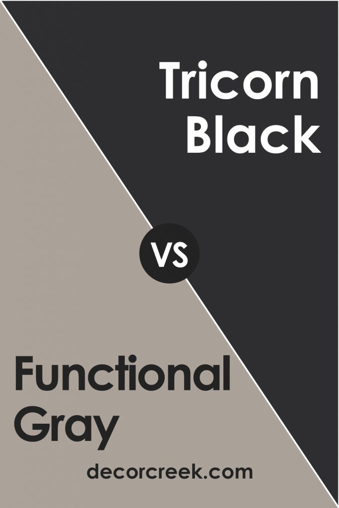 Functional Gray SW 7024 Paint Color by Sherwin-Williams