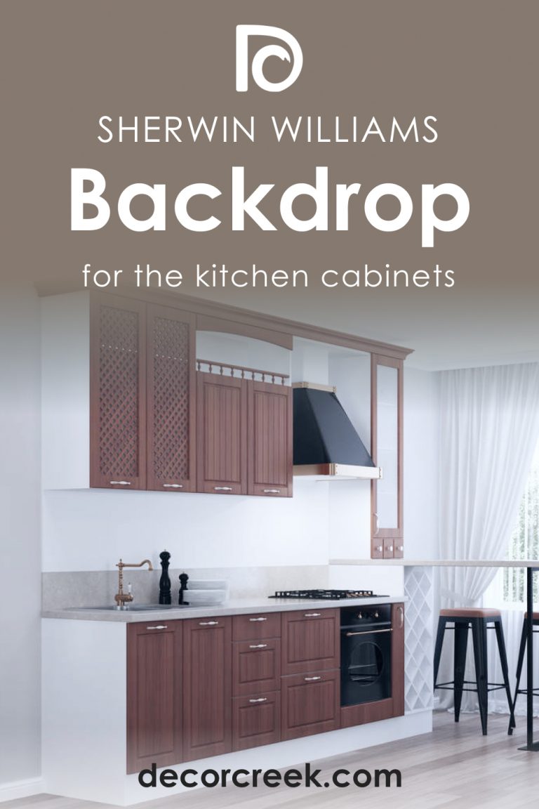 Backdrop SW 7025 Paint Color by Sherwin-Williams - DecorCreek
