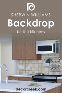 Backdrop SW 7025 Paint Color by Sherwin-Williams - DecorCreek