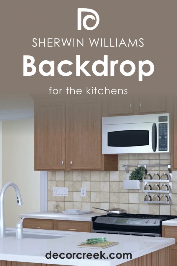 Backdrop SW 7025 Paint Color by Sherwin-Williams - DecorCreek