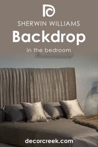 Backdrop SW 7025 Paint Color by Sherwin-Williams - DecorCreek