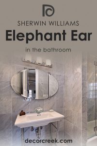 Elephant Ear SW 9168 Paint Color by Sherwin-Williams