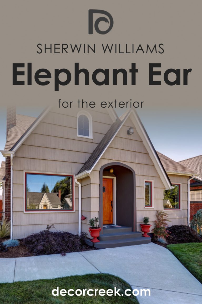 Elephant Ear SW 9168 Paint Color by Sherwin-Williams