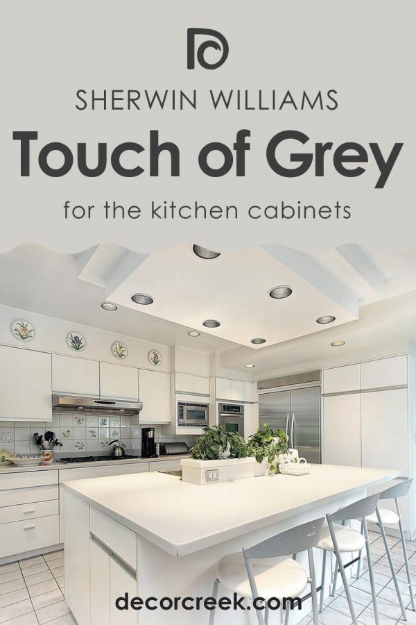 Touch of Grey SW 9549 Paint Color by Sherwin-Williams