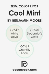 Cool Mint 582 Paint Color by Benjamin Moore - DecorCreek