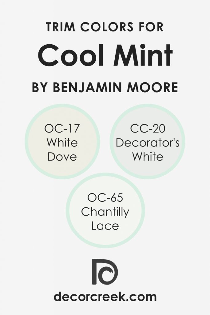 Cool Mint 582 Paint Color by Benjamin Moore - DecorCreek