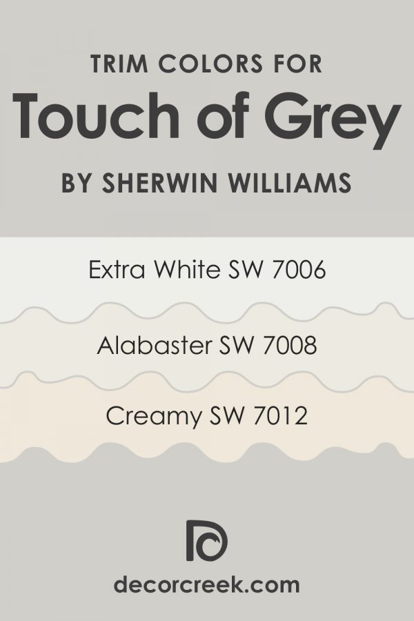 Touch of Grey SW 9549 Paint Color by Sherwin-Williams