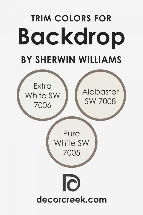 Backdrop SW 7025 Paint Color by Sherwin-Williams - DecorCreek