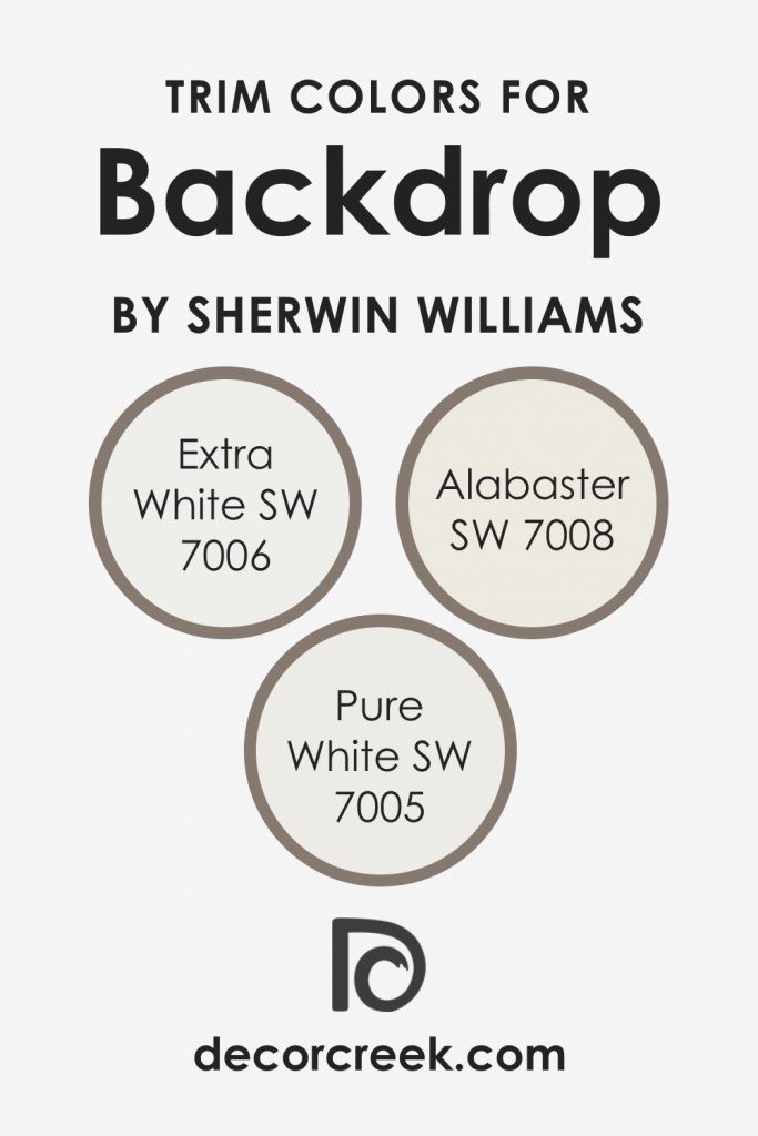 Backdrop SW 7025 Paint Color by Sherwin-Williams - DecorCreek