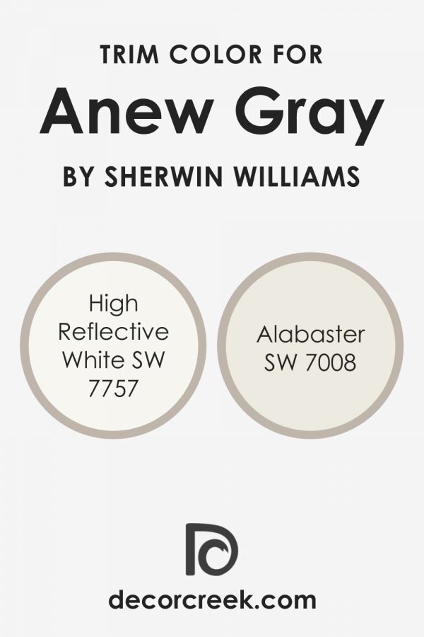 Anew Gray SW 7030 Paint Color by Sherwin-Williams