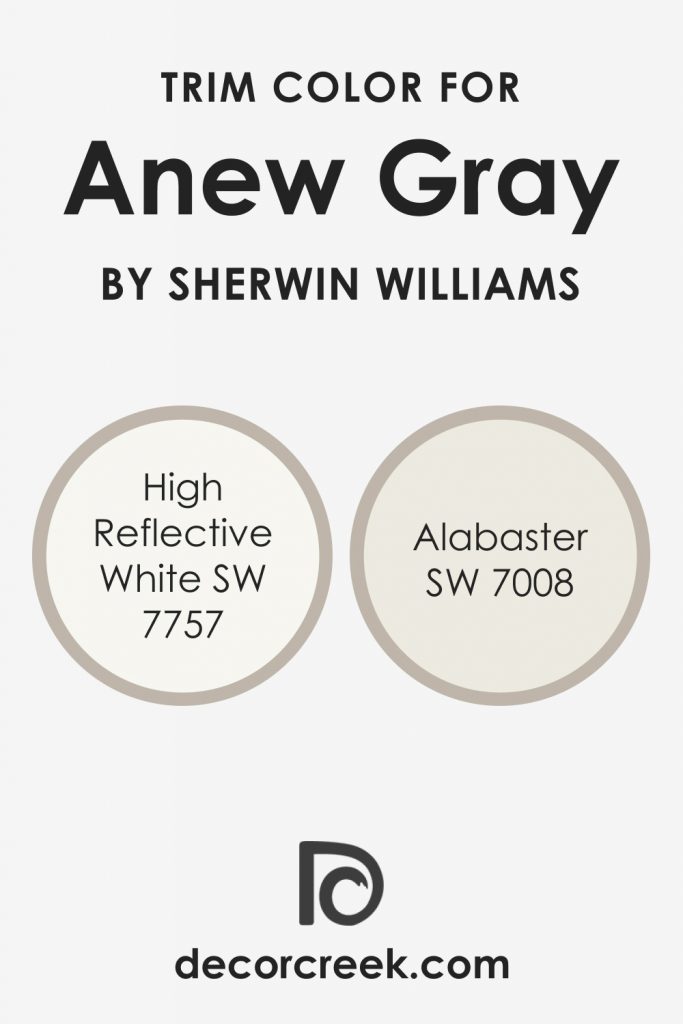 Anew Gray SW 7030 Paint Color by Sherwin-Williams
