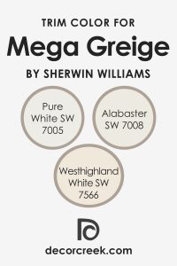 Mega Greige SW 7031 Paint Color by Sherwin-Williams