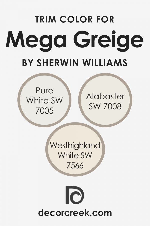 Mega Greige SW 7031 Paint Color by Sherwin-Williams