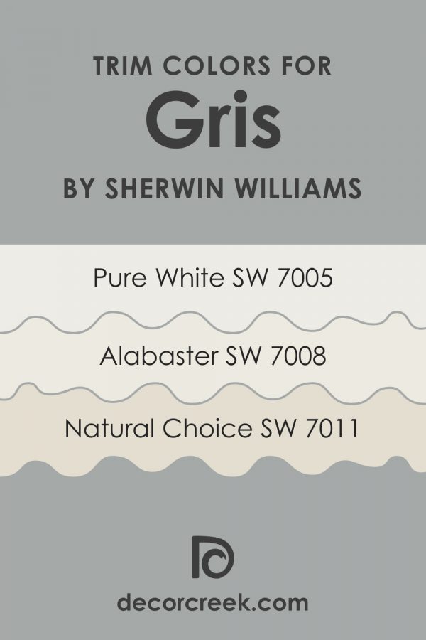 Gris SW 7659 Paint Color by Sherwin-Williams - DecorCreek