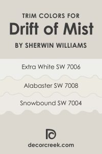 Drift of Mist SW 9166 Paint Color by Sherwin-Williams