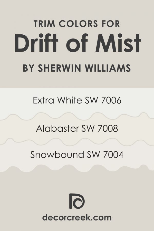 Drift of Mist SW 9166 Paint Color by Sherwin-Williams