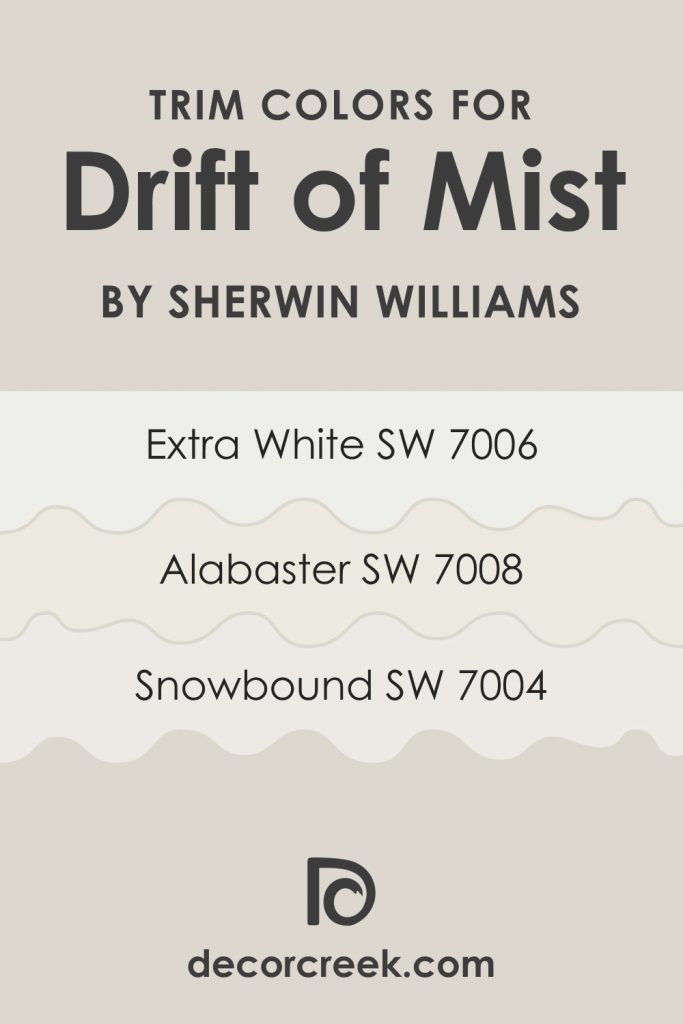 Drift of Mist SW 9166 Paint Color by Sherwin-Williams