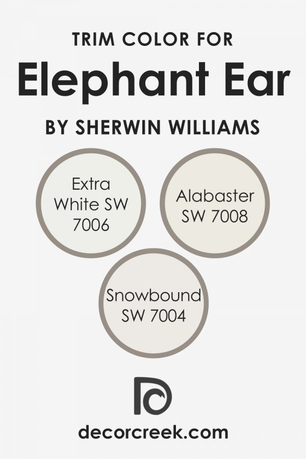 Elephant Ear SW 9168 Paint Color by Sherwin-Williams