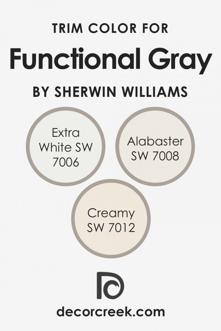 Functional Gray SW 7024 Paint Color by Sherwin-Williams