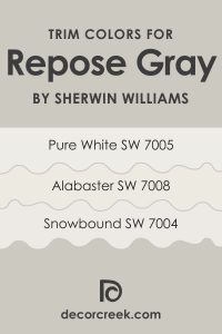 Repose Gray SW 7015 Paint Color by Sherwin-Williams