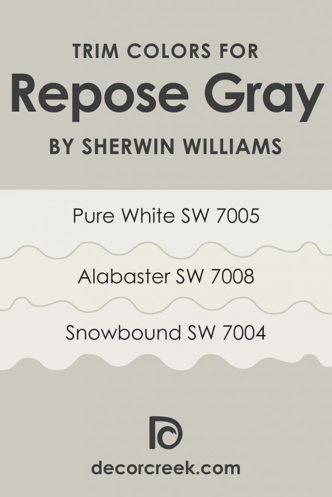 Repose Gray SW 7015 Paint Color by Sherwin-Williams