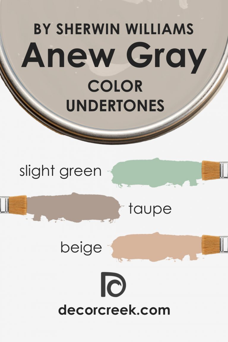 Anew Gray SW 7030 Paint Color by Sherwin-Williams