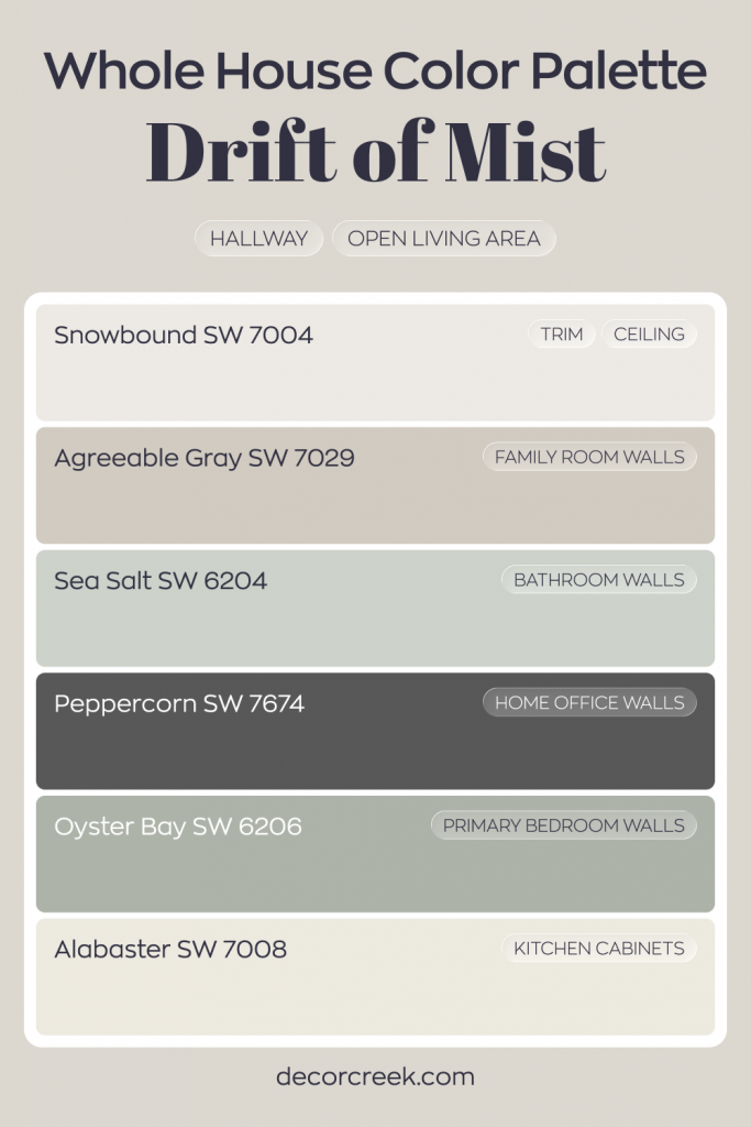 Drift of Mist SW 9166 Paint Color by Sherwin-Williams