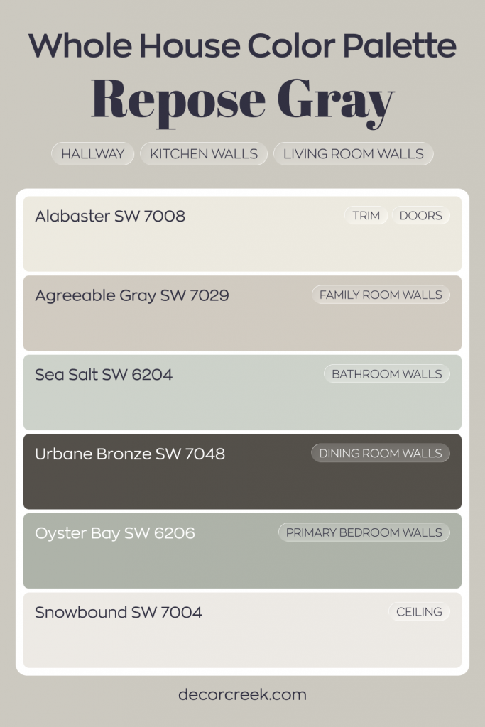Repose Gray SW 7015 Paint Color by Sherwin-Williams