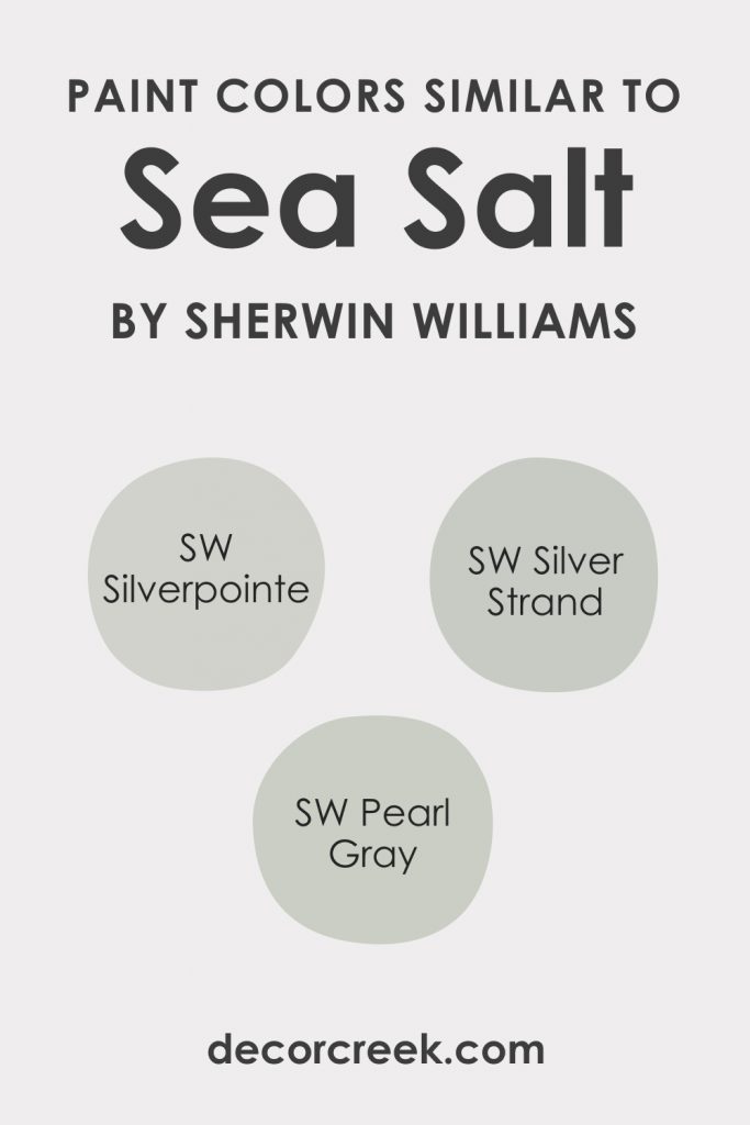 Sea Salt SW 6204 Paint Color by Sherwin-Williams - DecorCreek