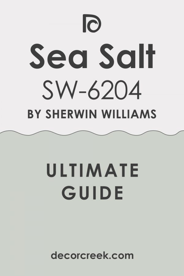 Sea Salt SW 6204 Paint Color by Sherwin-Williams - DecorCreek