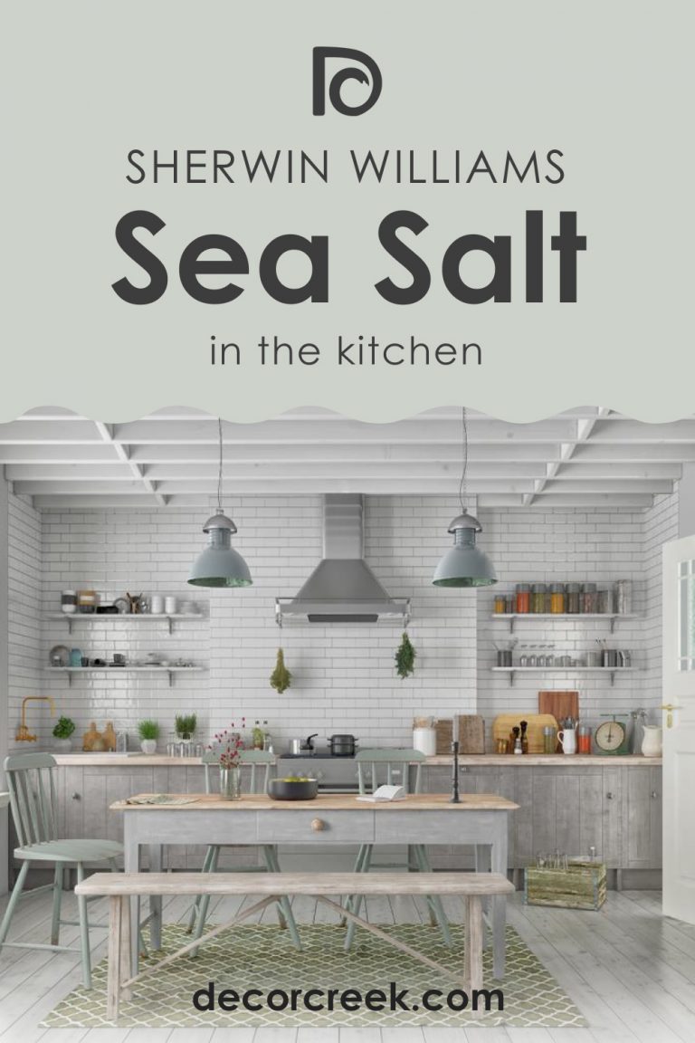 Sea Salt SW 6204 Paint Color by Sherwin-Williams - DecorCreek