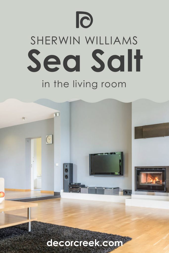 Sea Salt SW 6204 Paint Color by Sherwin-Williams - DecorCreek